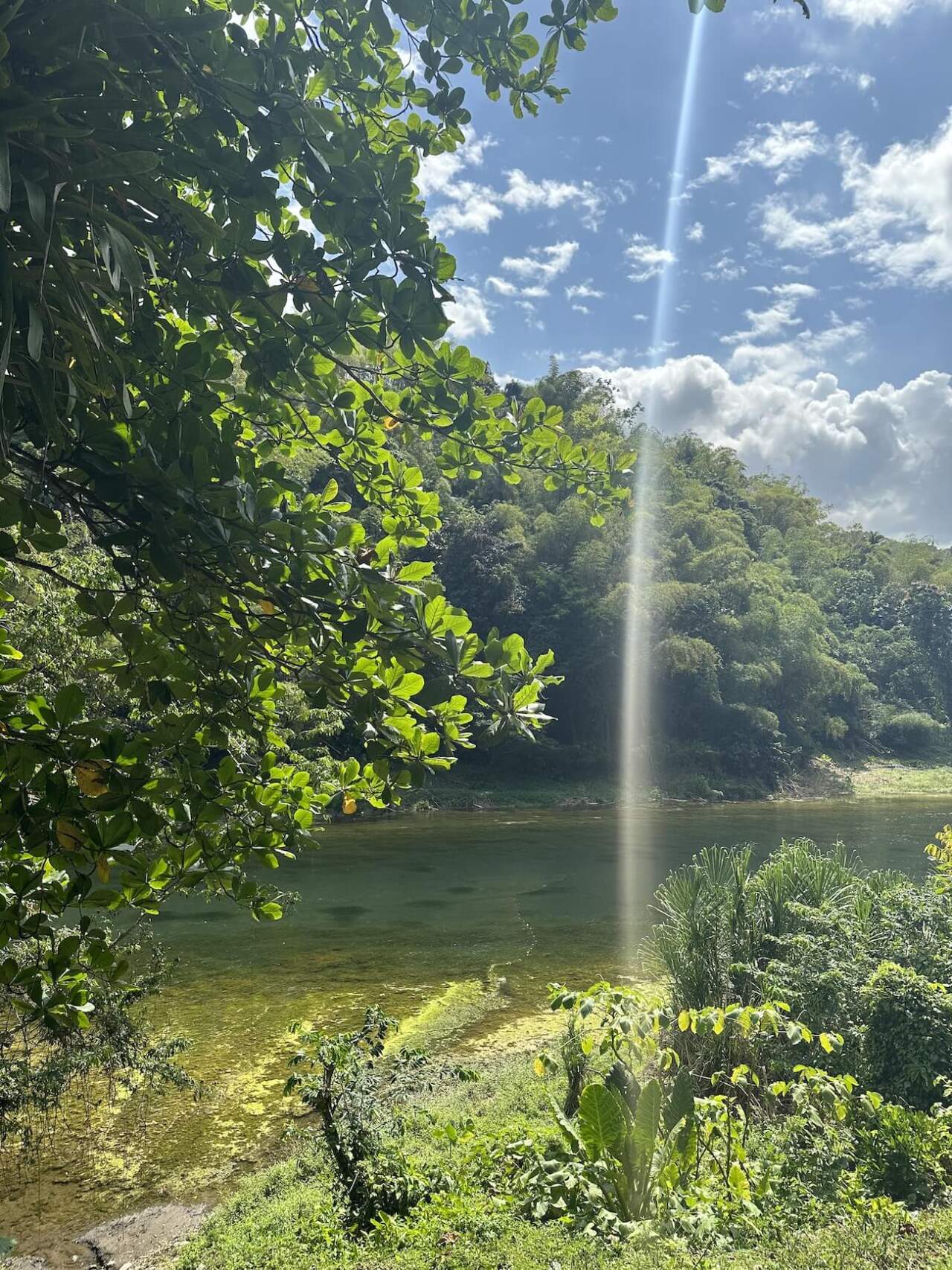 Portland: lush vegetation, chill vibes and beautiful scenery | Unique ...
